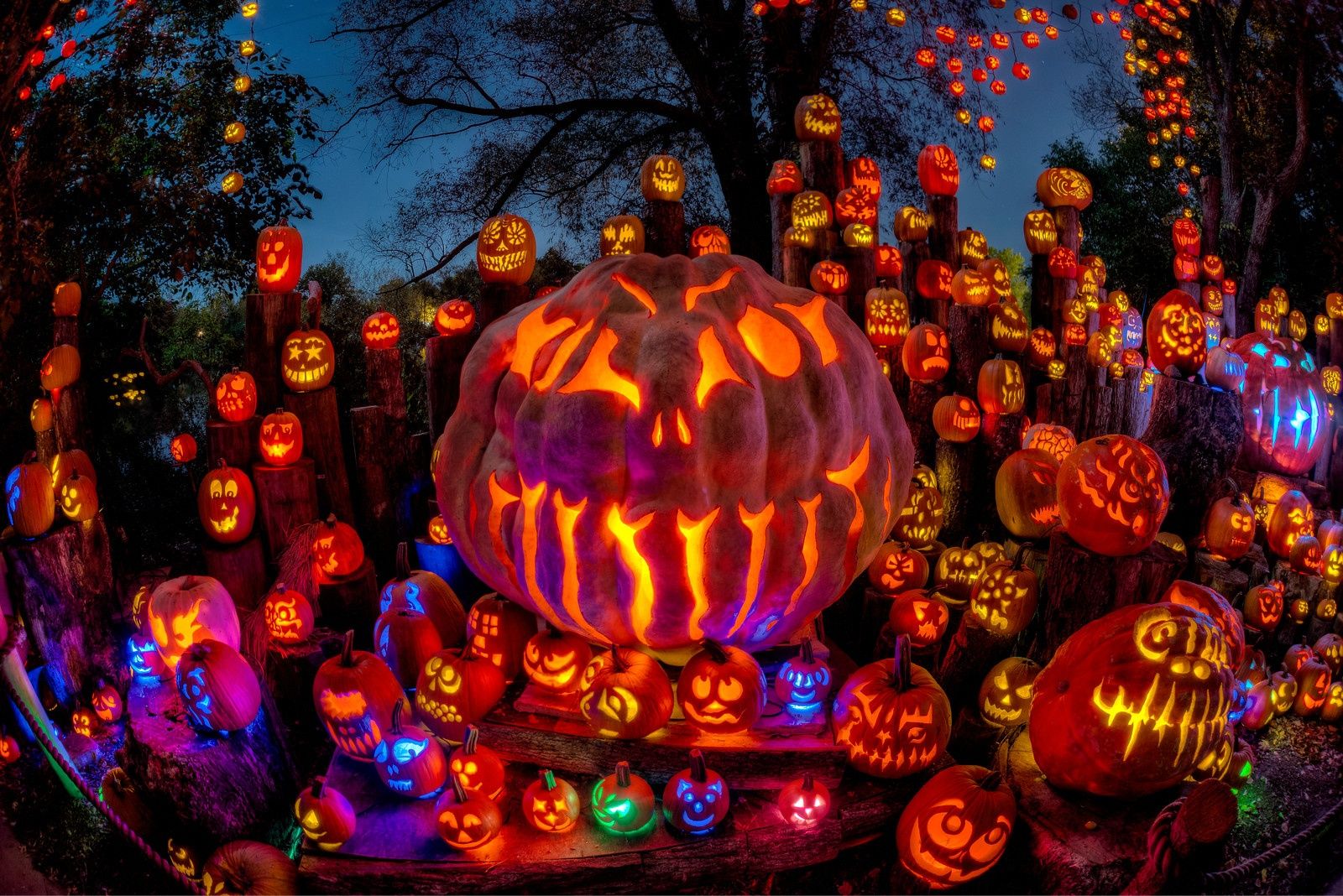 New England Legends: Origins of Halloween - Jeff Belanger